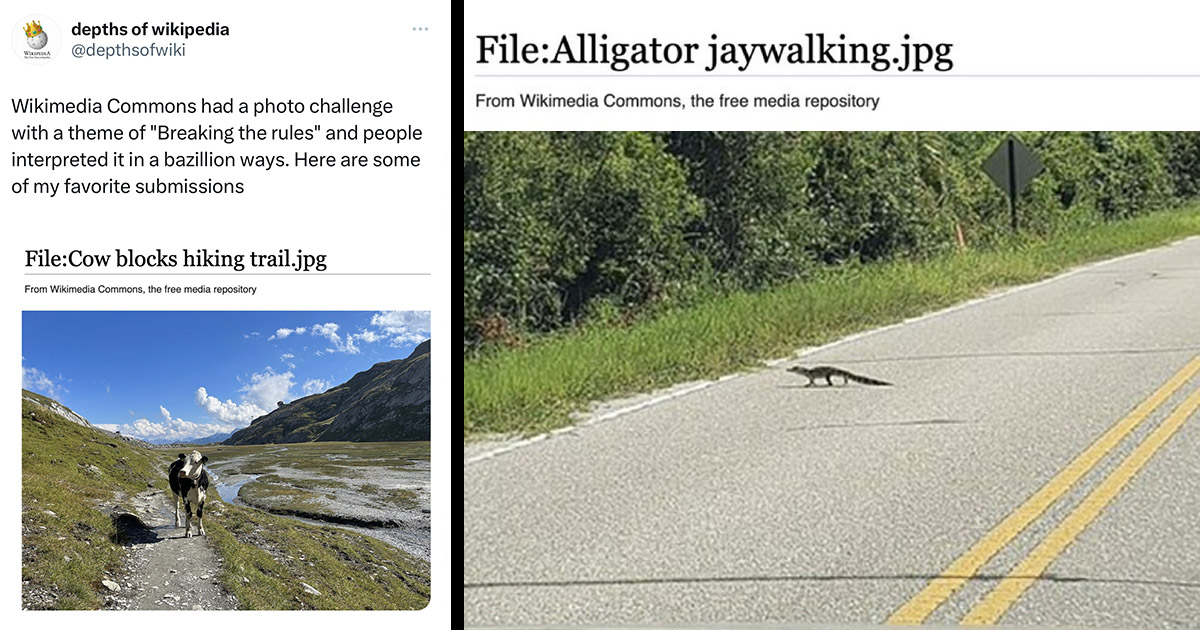 Memebase - depthsofwiki - All Your Memes In Our Base - Funny Memes ...