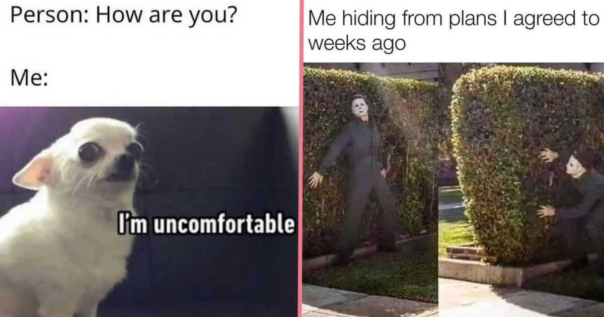 32 Modest Memes About Introverts in the Dating Space (September 6, 2023 ...