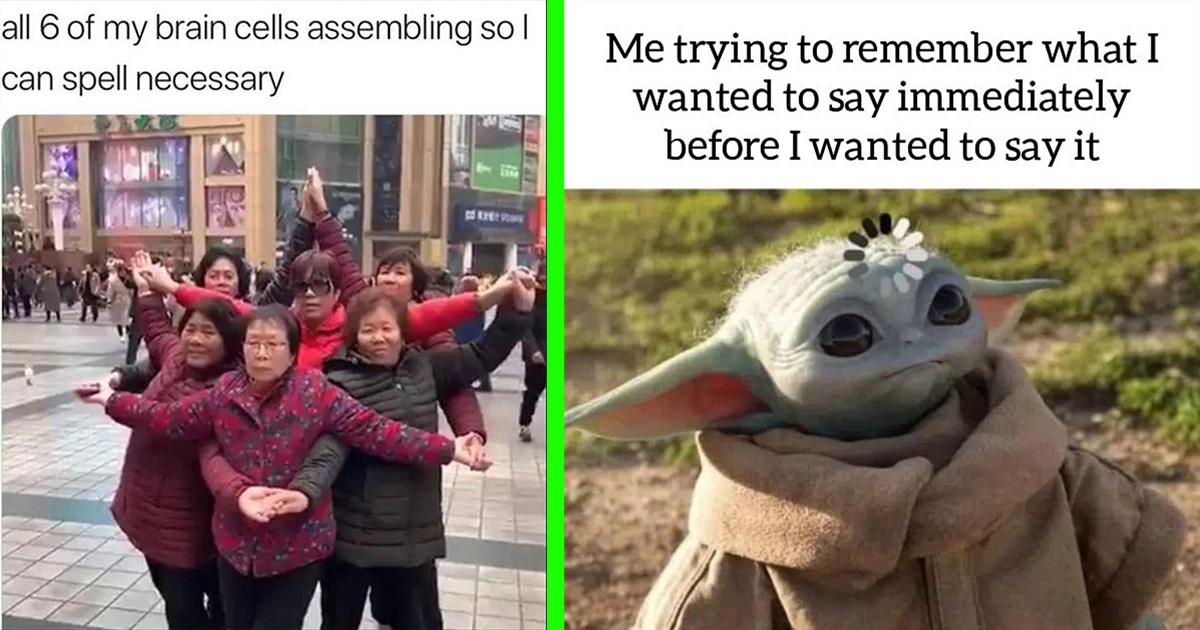 30+ Funny Memes for Your Last Braincell - Memebase - Funny Memes