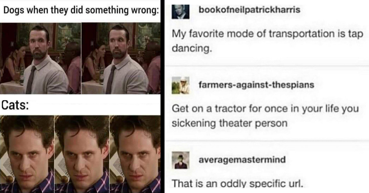 A Fine Selection of Different Memes for Humor Enthusiasts - Memebase ...