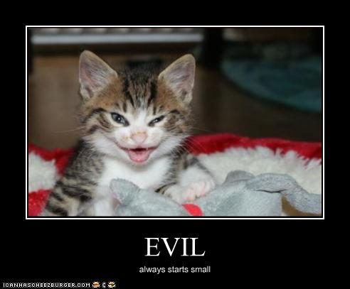 Evil Kitten Meme