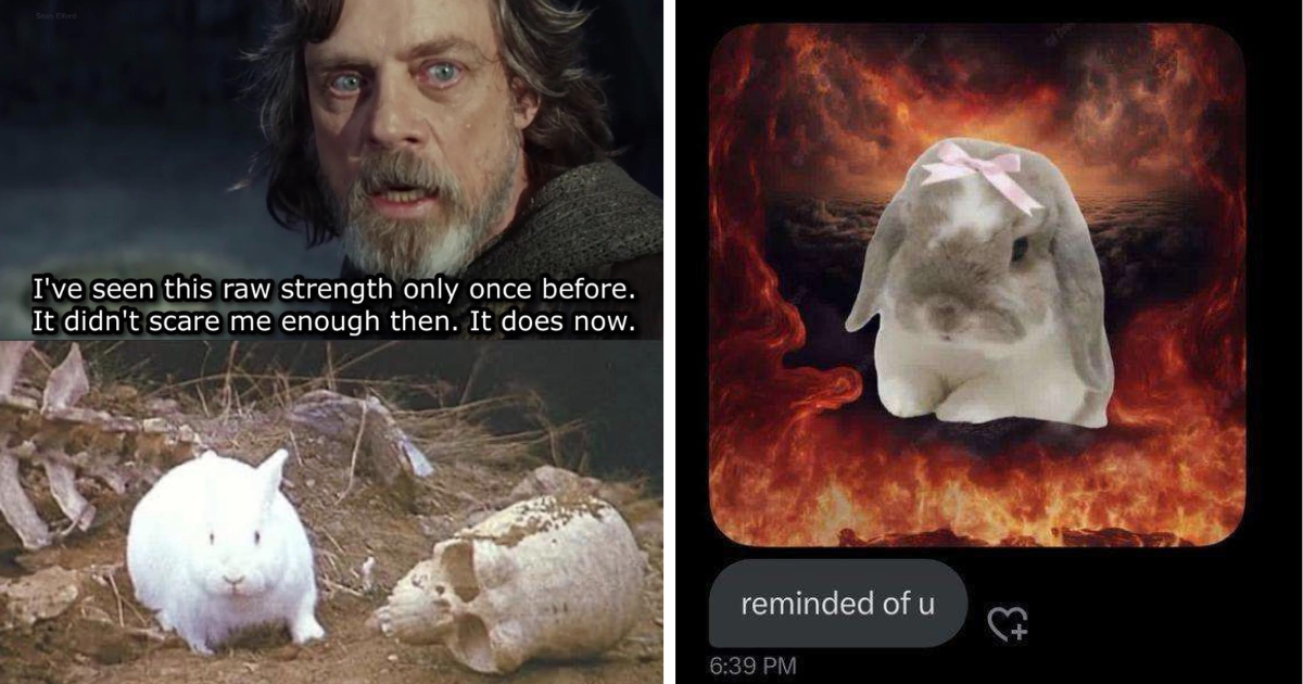 A Bouncy Burrow Of Ridiculous Rabbit Memes That Are Ear-resistably ...
