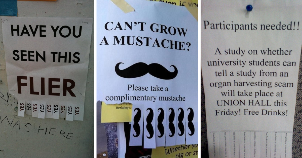Pretty Fly for a Flyer: Some of the Funniest Flyers We Found Scattered ...