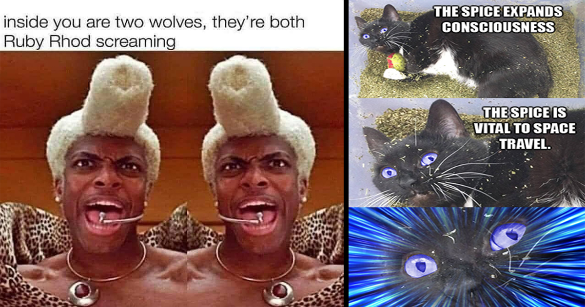 25+ Sci-Fi & Fantasy Memes for Intergalactic Geeks (September 11, 2023 ...