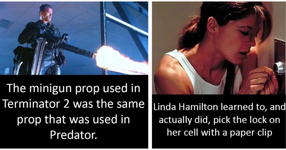 23 Cybernetically Enhanced Facts About Terminator 2 That'll Rewire Your ...