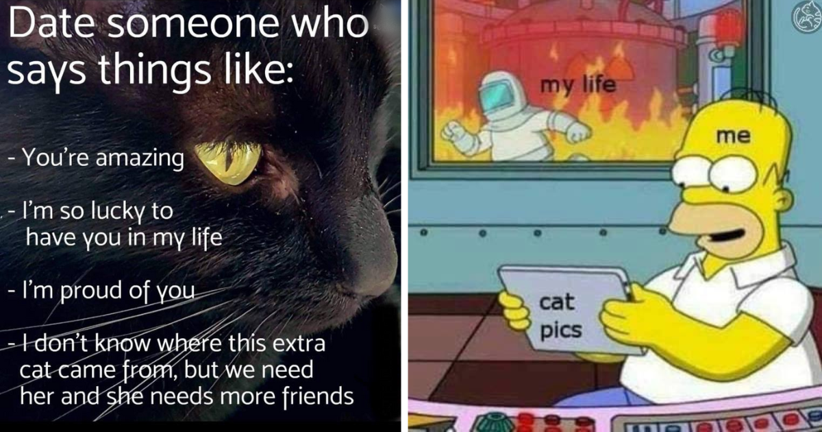 I Can Has Cheezburger? - represent - Funny Animals Online - Cheezburger