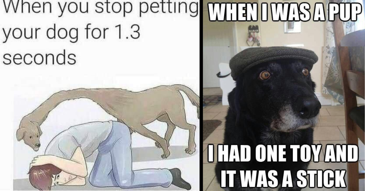 Doggie Dump of Dopamine To Ride Until The Last Woof Of The Weekend ...