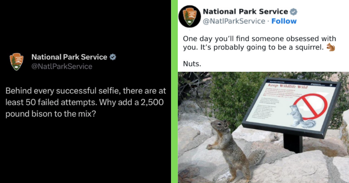 35 Wildest 'National Park Service' Memes for Nature-Lovers Who ...