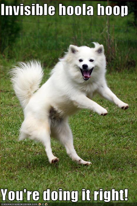 I Can Has Cheezburger?