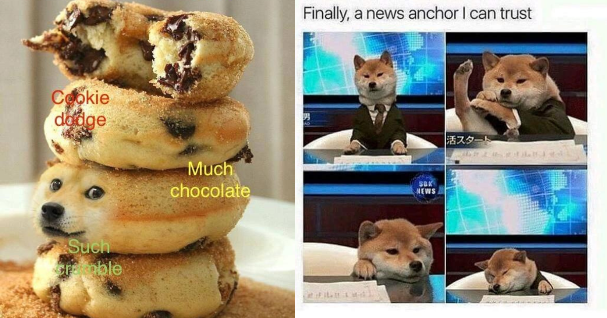 24 Wholesome Dog Memes to Make Your Tail Wag (September 24, 2023 ...