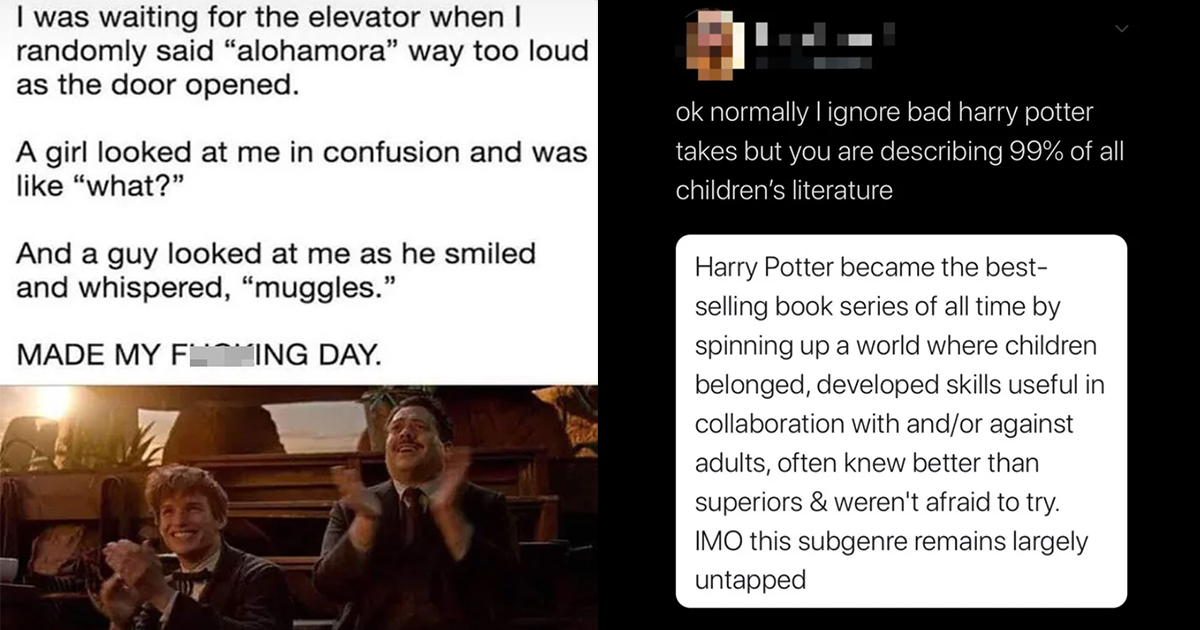 Cringey Harry Potter-Obsessed Millennials Who Should Read Another Book ...