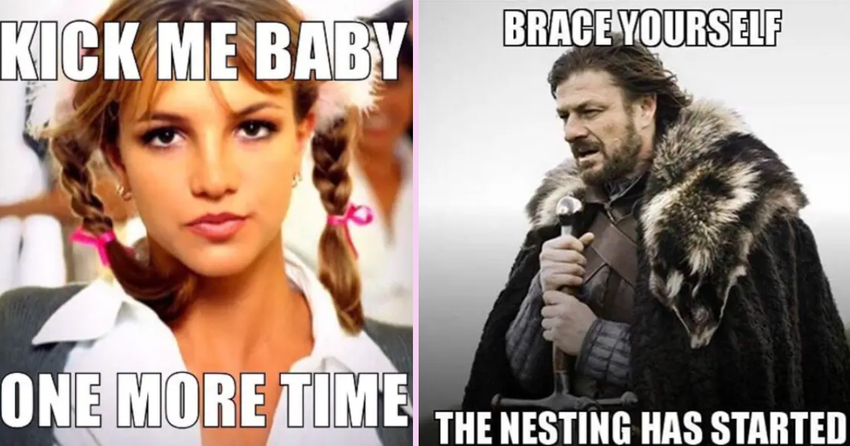 33 Maternal Memes for Third Trimester Trooper Moms to Be - CheezCake ...