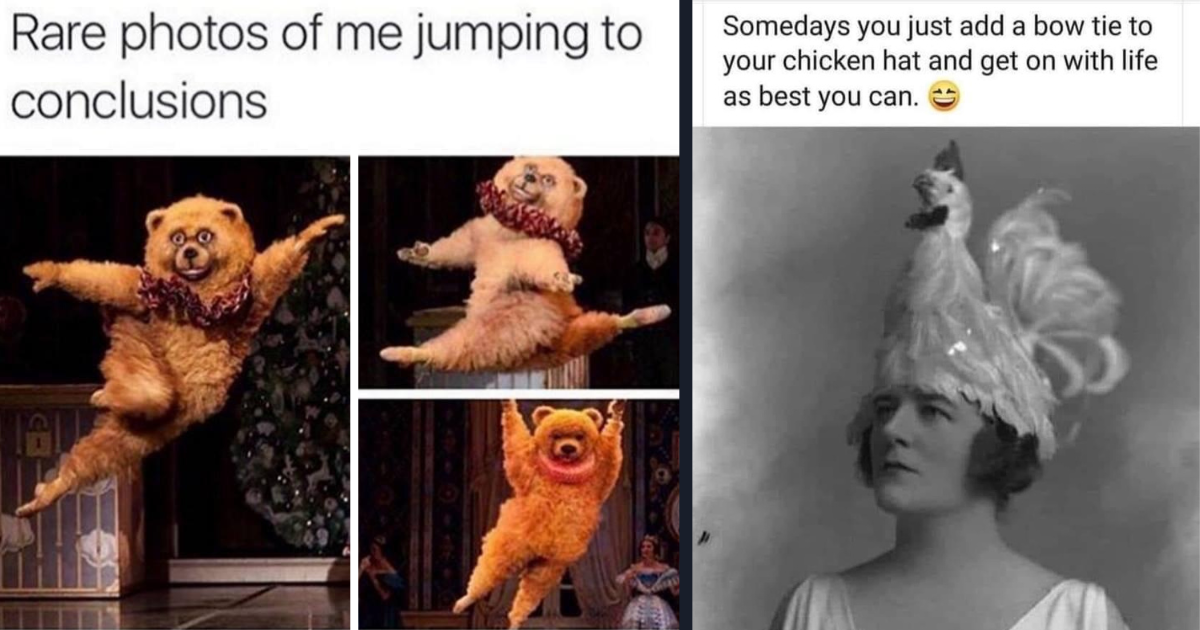 35+ Hilarious Animal Memes To Help You Giggle Your Way Out Of The ...