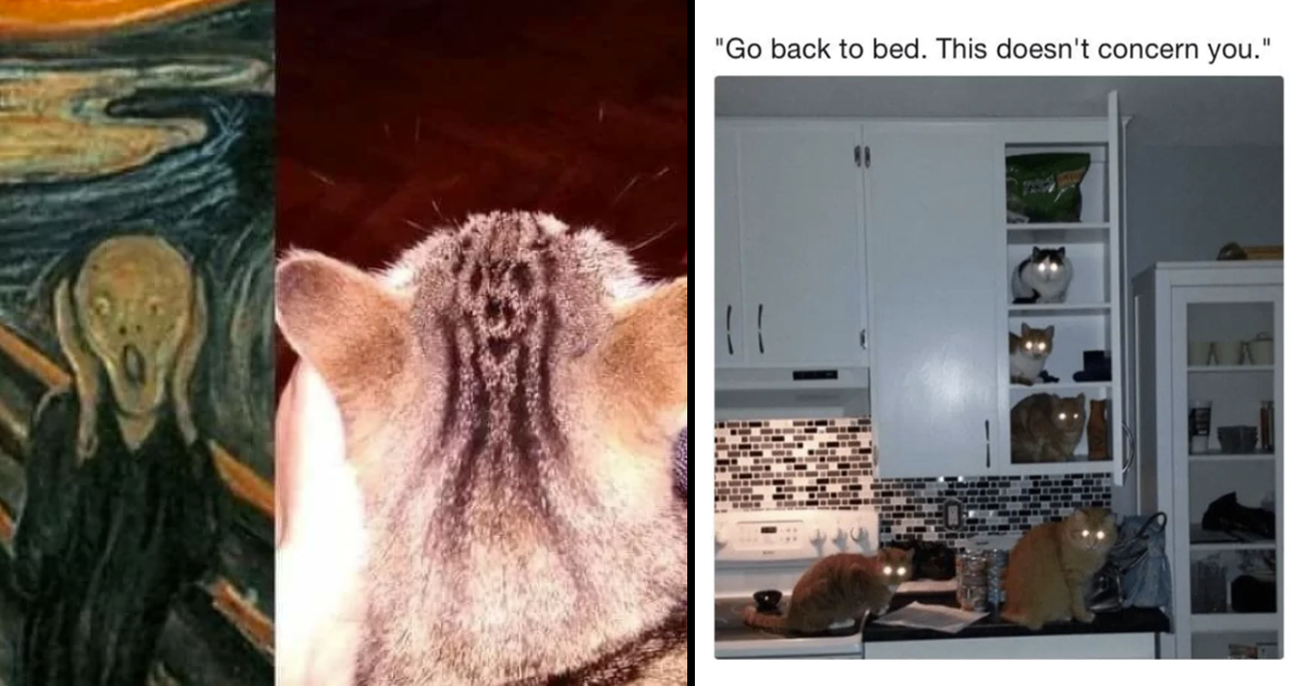 Memebase - Memes - Page 2 - All Your Memes In Our Base - Funny Memes ...