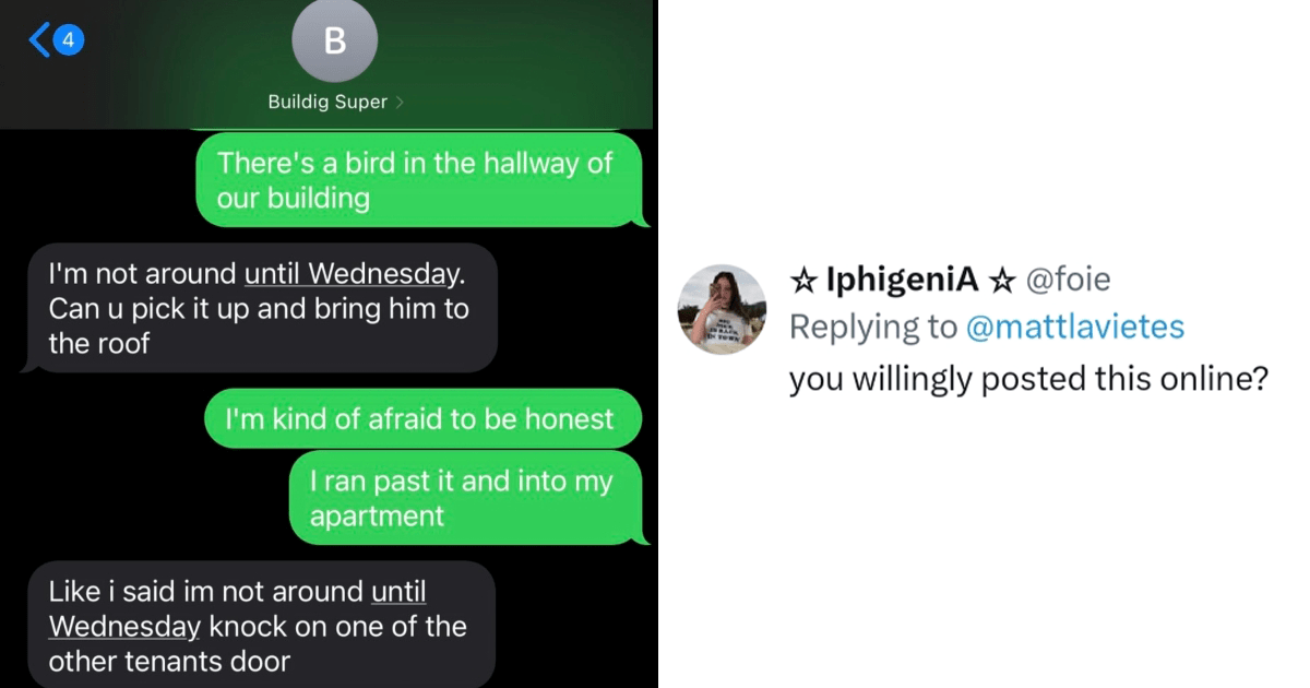 Cowardly Tenant Refuses to Deal With Bird in Building Hallway, Gets ...