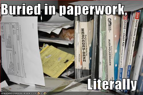Memes Paperwork