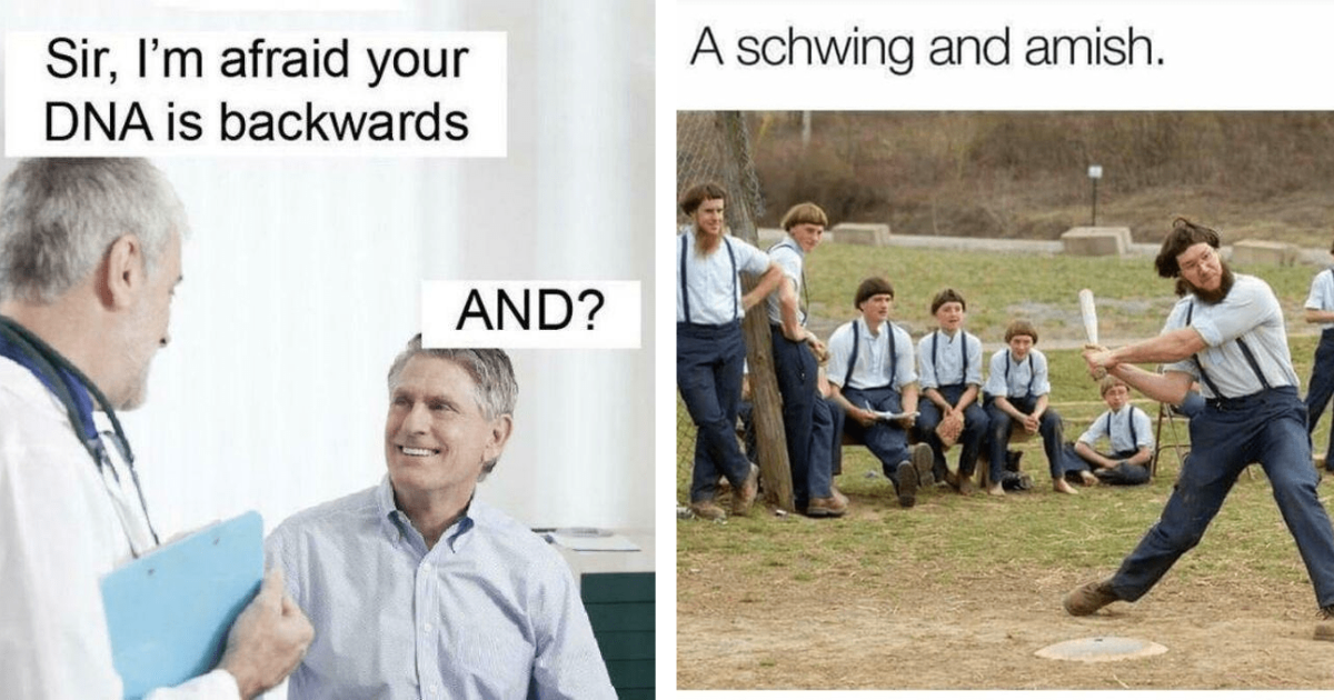 31 Punny Memes That Would Have Been Dad Jokes if They Were More ...