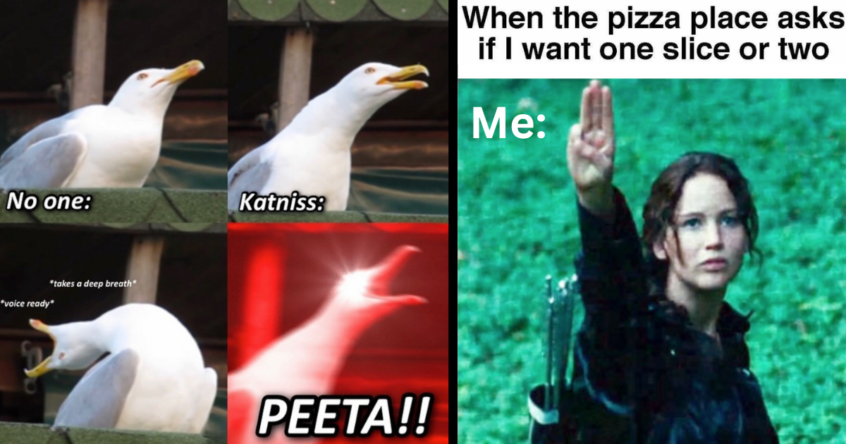 District 13's Spiciest Memes That'll Make Hunger Games Fans Volunteer ...