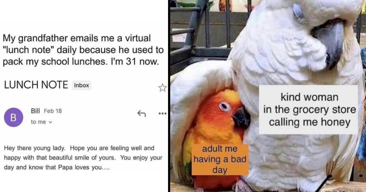 The Best Heartwarmingly Wholesome Memes and Posts of the Week (October ...