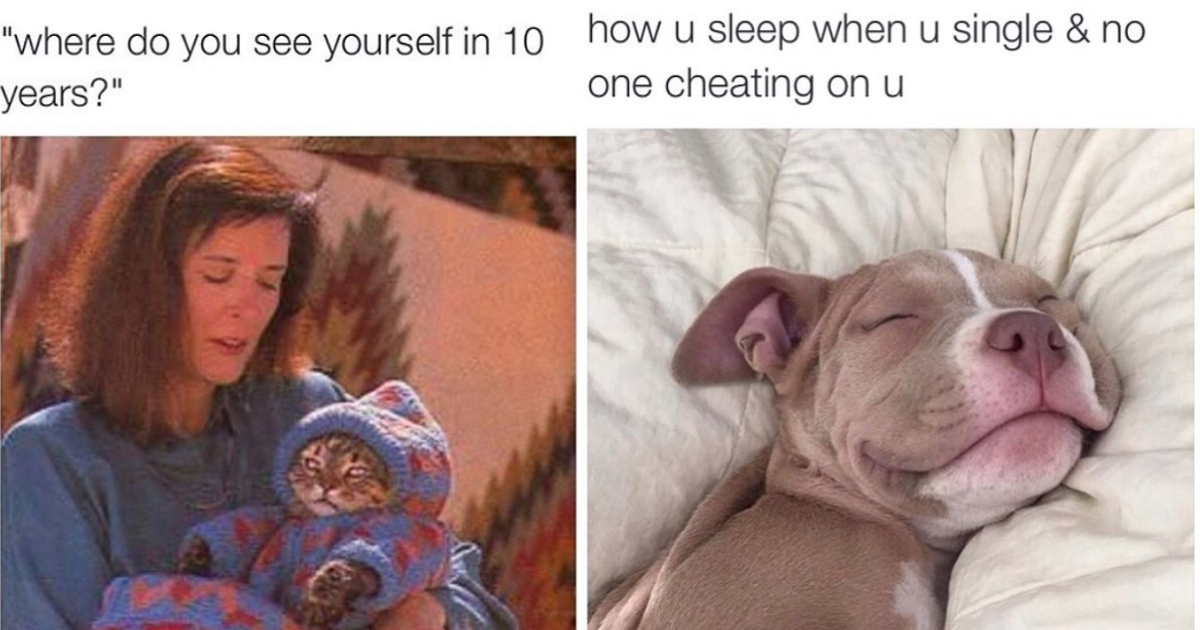 Wholesome Mid-Week Memes From The Animal Kingdom To Get You Over The ...
