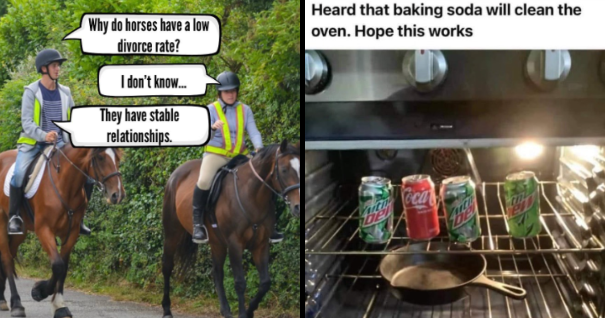 41 Dad Jokes That Have Us Laughing Harder Than We Actually Should ...