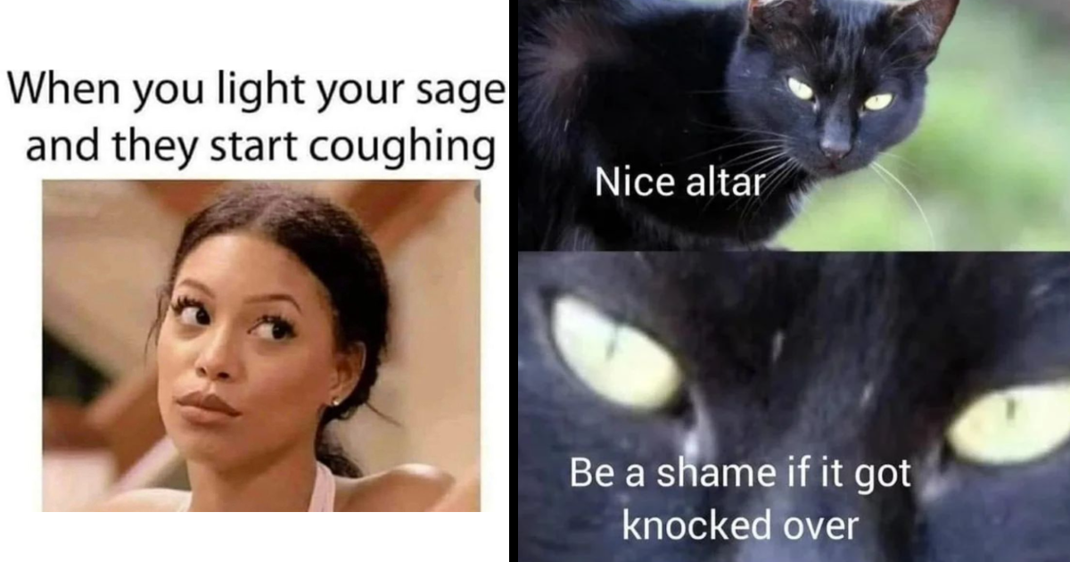 20+ Witchy Memes for Spell Casters Who Know Their Sage From Their Palo ...