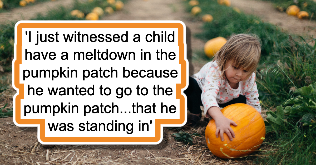 'Your daughter was baiting seagulls into the playground with gummy ...