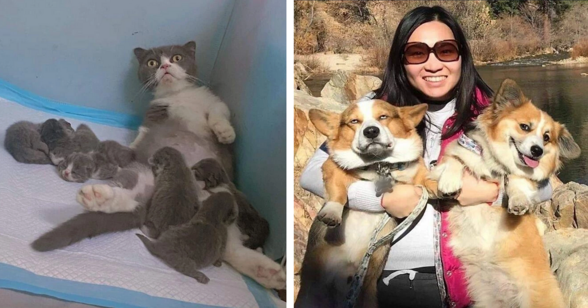 33 Super Silly Animal Pictures Making Thursdays Great Again - Animal ...