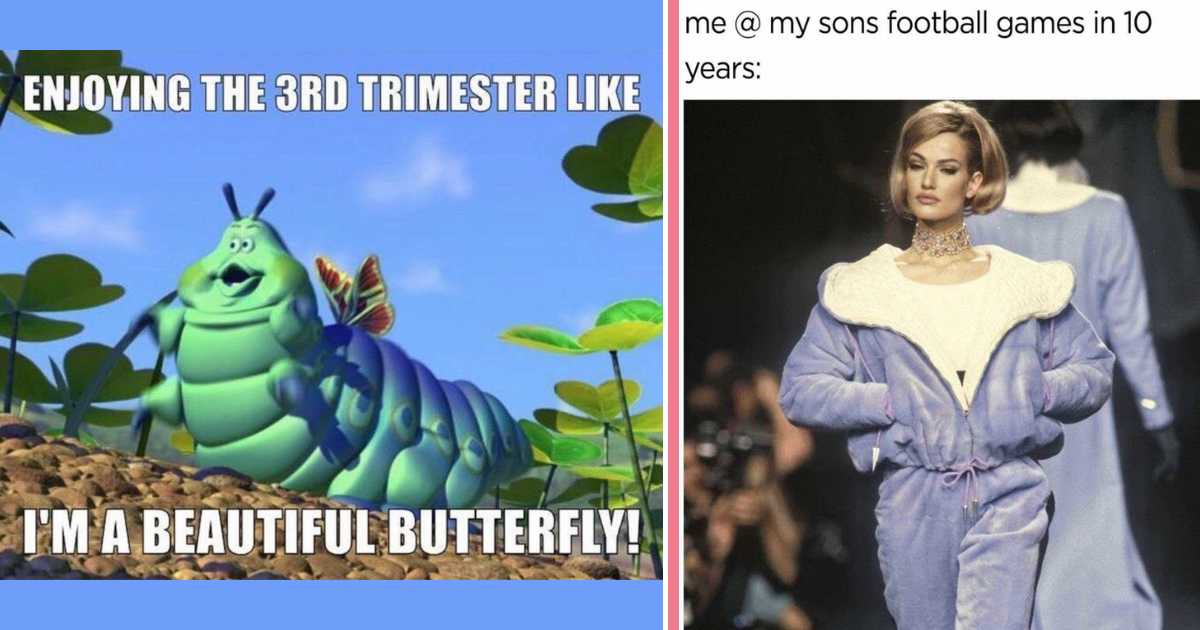 27 Witty Pregnancy Memes for Those Googling ‘What to Expect When You’re ...