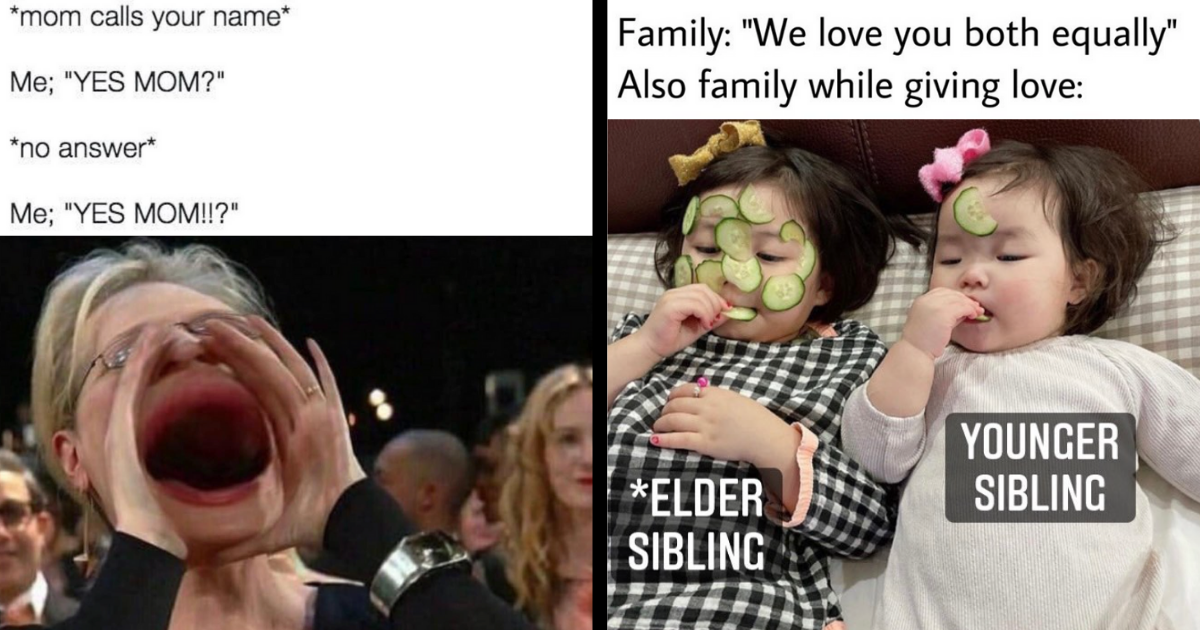 51 Family Memes That Don't Fall Far From the Tree (October 22, 2023 ...