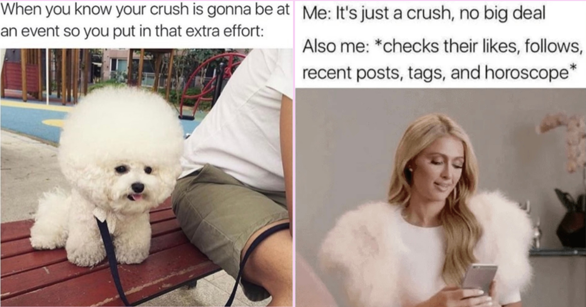 26 Secretly Smitten Memes for Sassy Sirens Silently Swooning Over a Guy ...