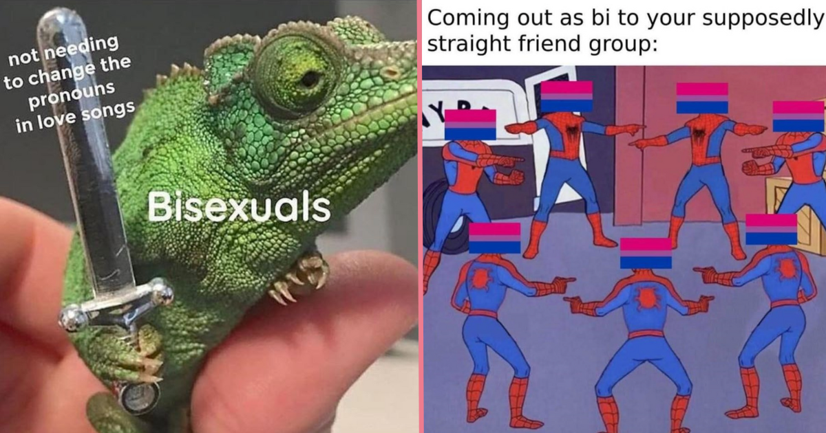 38 Bi Memes for Women Who Play for Both Teams - CheezCake - Parenting ...