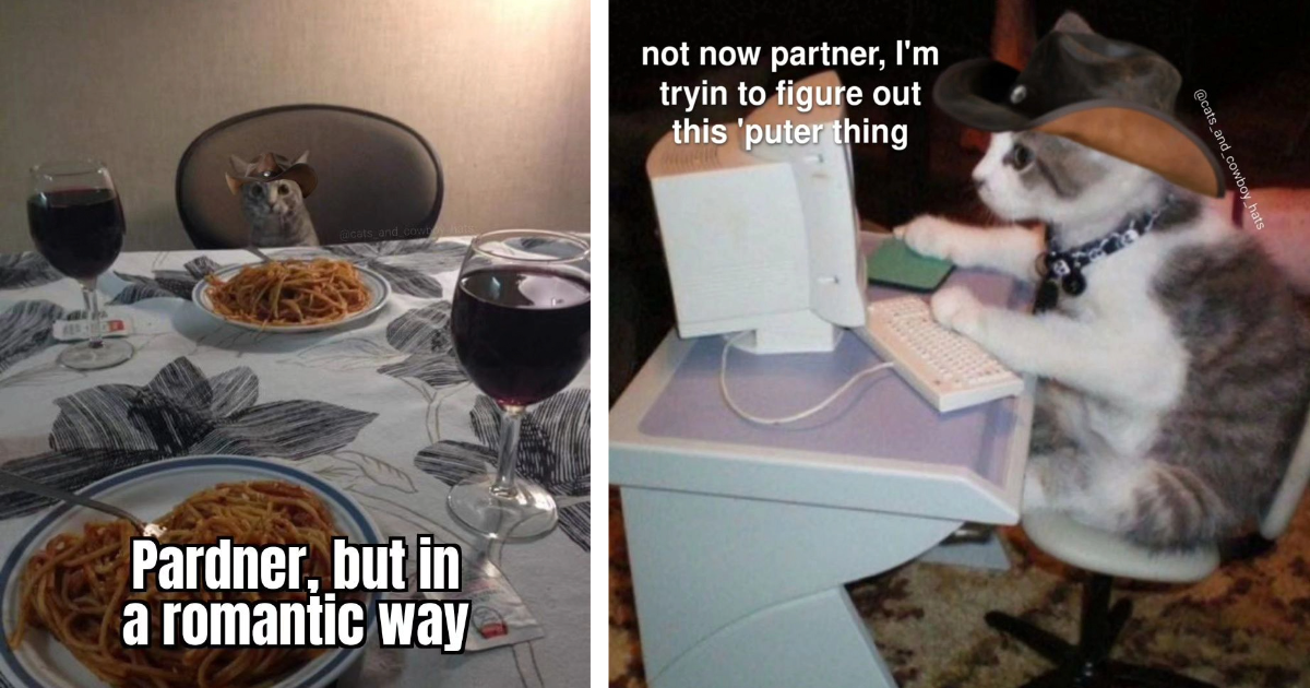 Wholesome Cats Living In Hats For A Sweet Stylish Saturday - I Can Has ...