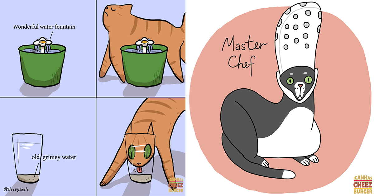 A Collection Of Comedic And Cute Cat Comics For A Friday Full Of Fun ...