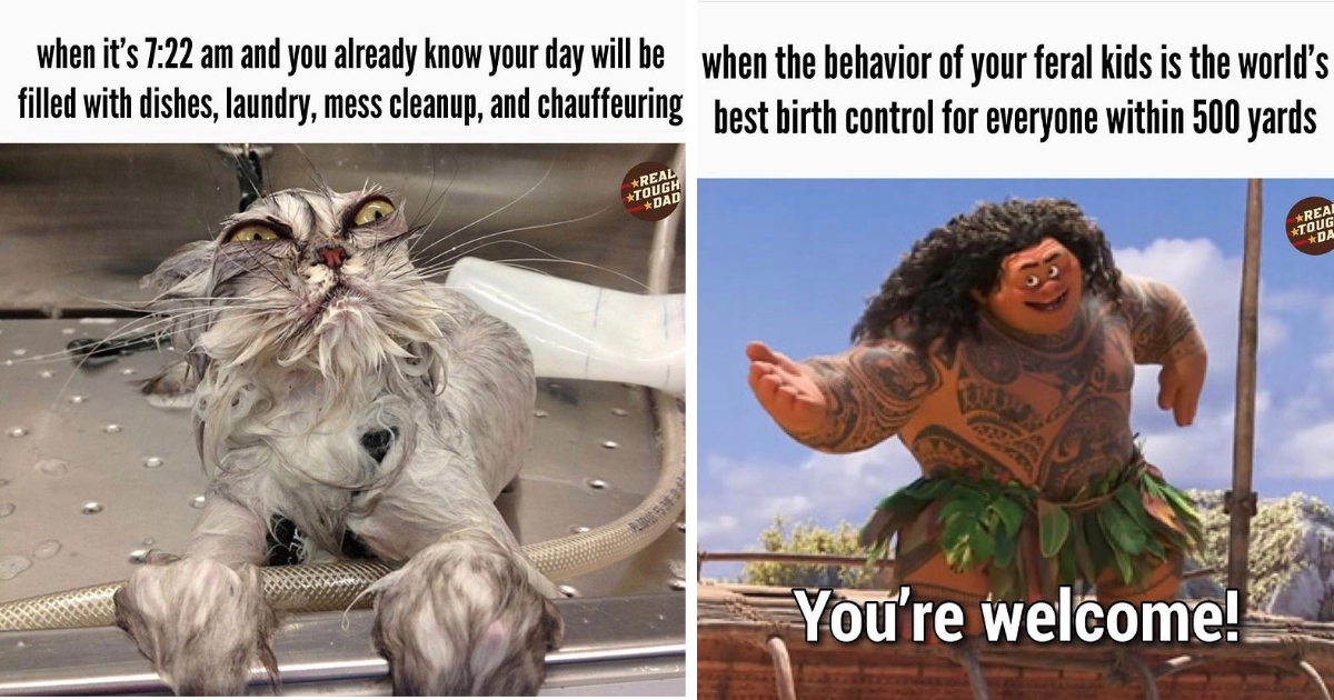 Farcical Fed Up Family Memes For The Parents In Need Of A Mini-Break ...