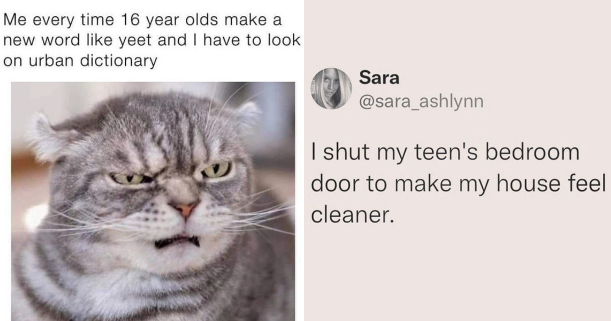 Satirical Sneaky Saturday Memes For Parents With Kids In Their Teens ...