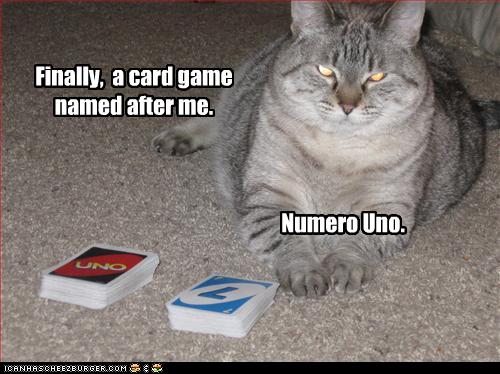 Finally, a card game named after me. - Cheezburger - Funny Memes ...