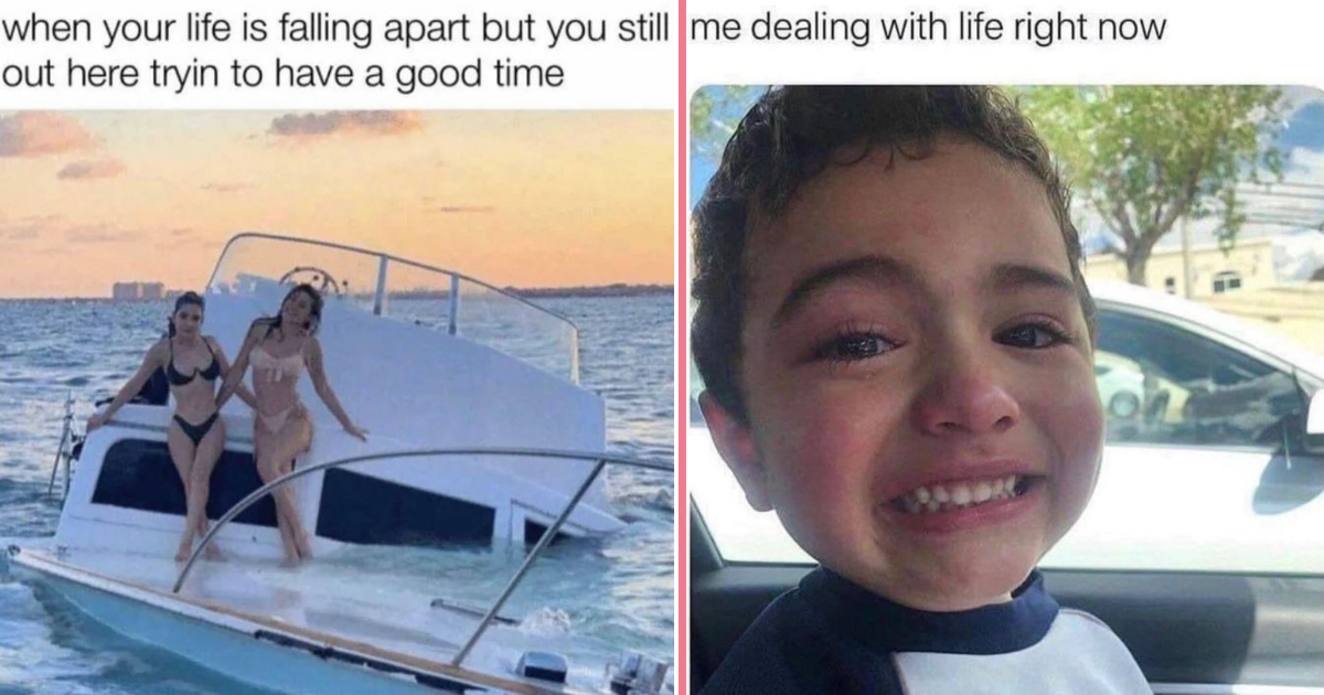 50 Emotional Support Memes for Babes Having a Bad Day - CheezCake ...