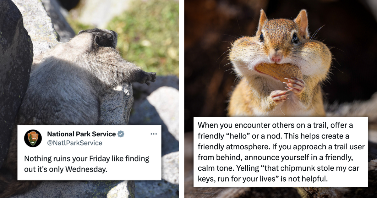 23 Tweets From Our Witty Wildlife Experts At The National Park Service ...