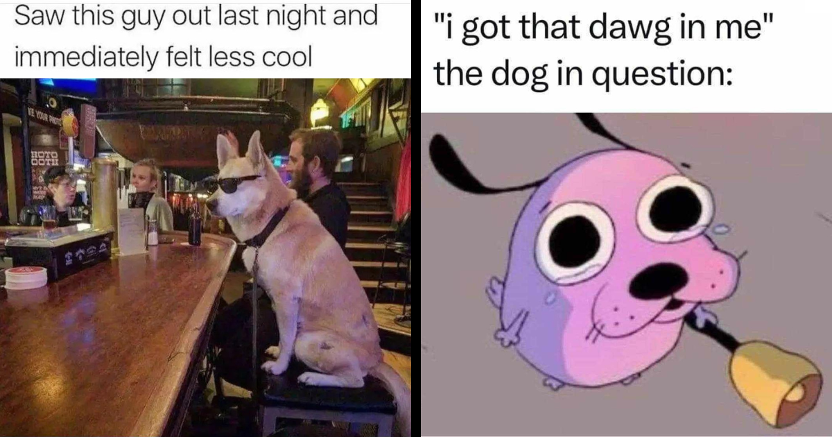 Doggie Dump of Dopamine To Ride Until The Last Woof Of The Weekend ...