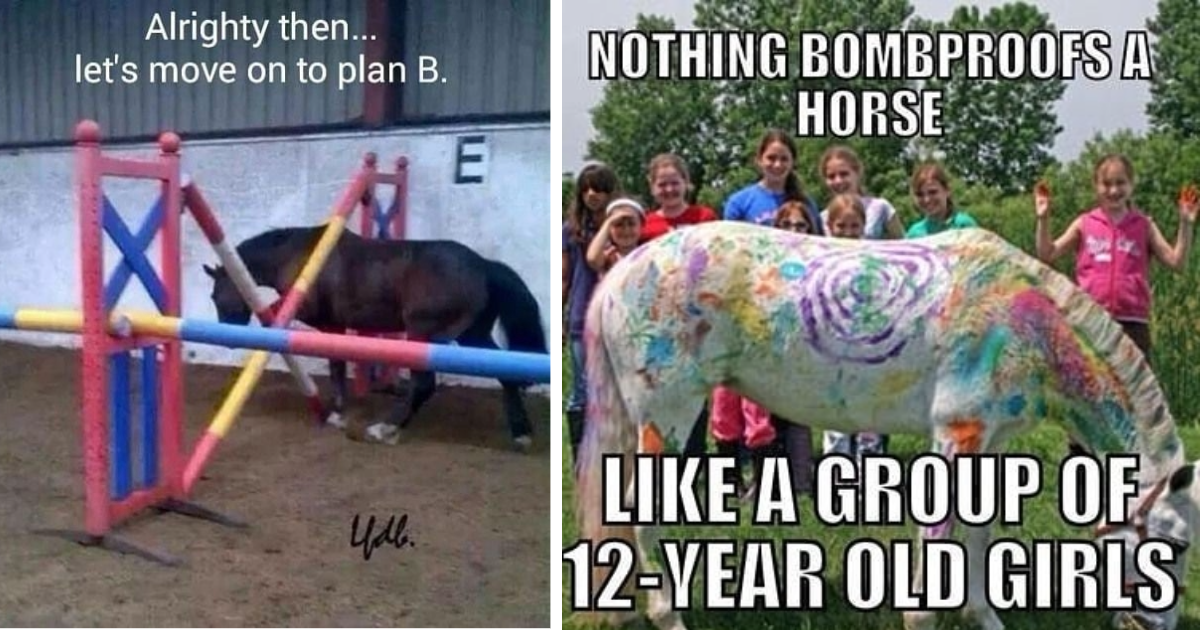 Hysterical Horse Memes To Help You Happily Hop Into The Weekend - Animal Comedy - Animal Comedy ...