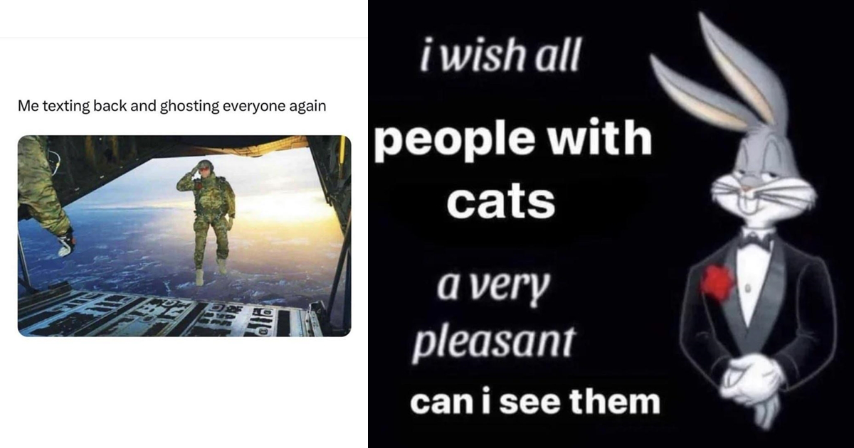 A Flippant Assembly of Different Memes - Memebase - Funny Memes