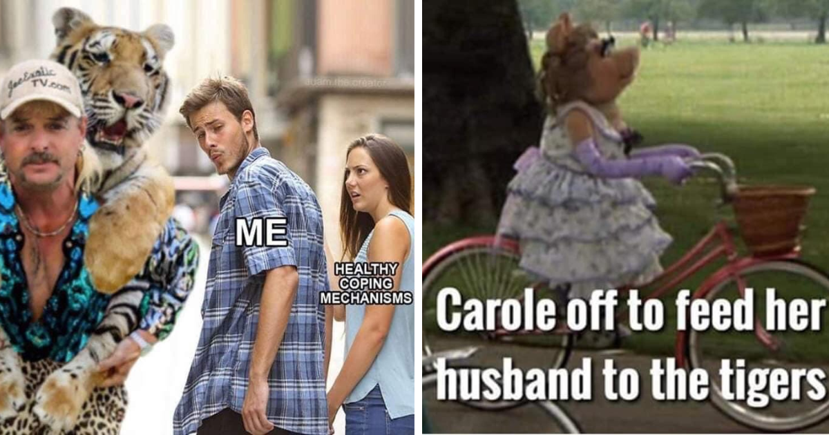 34 Tiger King Memes To Remind You That 2020 Was Almost 4 Years Ago ...