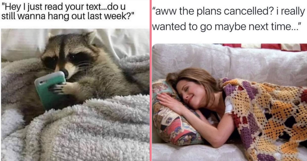 36 Witty Introvert Memes About Being the Shy One in a Relationship ...