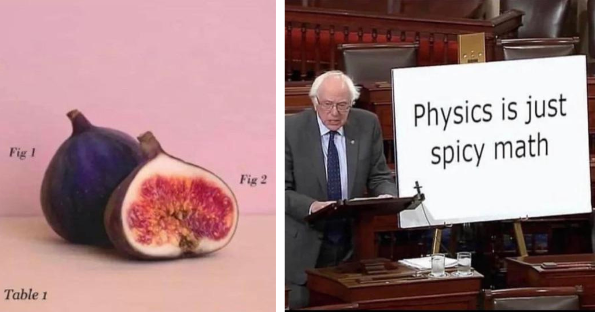 31 Science Memes for All the Physics Nerds Out There (November 12, 2023 ...
