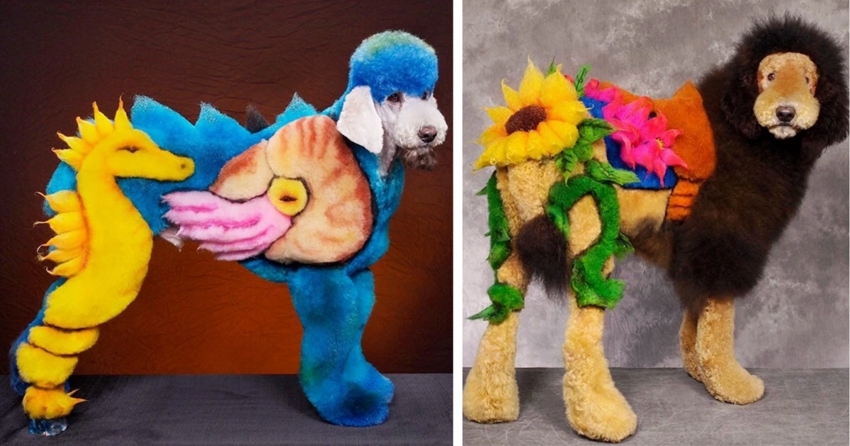 28 Seriously Strange Photos Of Competitive Dog Grooming That Hold Our ...