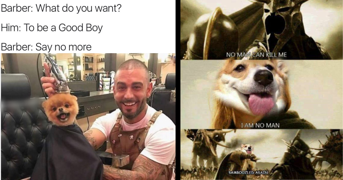 Doggie Dump of Dopamine To Ride Until The Last Woof Of The Weekend ...