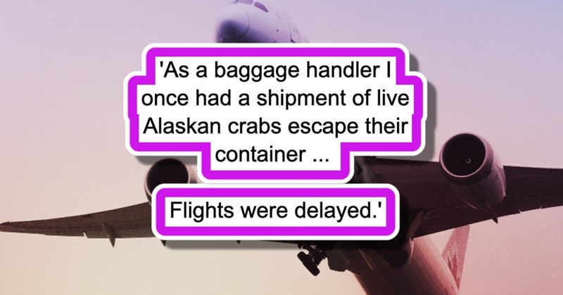 'One of our pilots landed, with passengers, at the wrong airport': 20 Crazy airport incidents ...