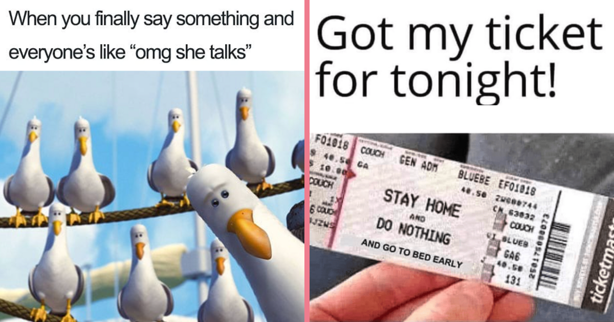 50 Witty Introvert Memes for the Shy Souls in the Relationship ...