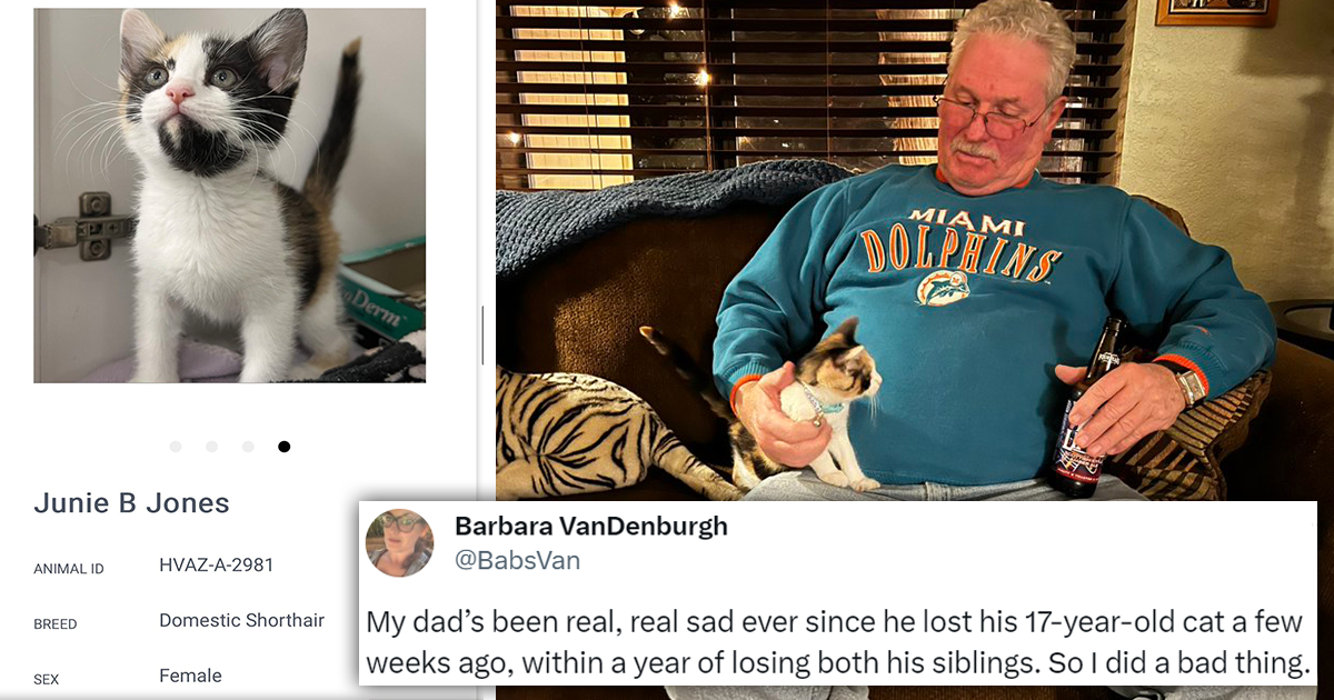 Twitter User Adopts A Cat For Her Dad After He Lost His Previous One ...